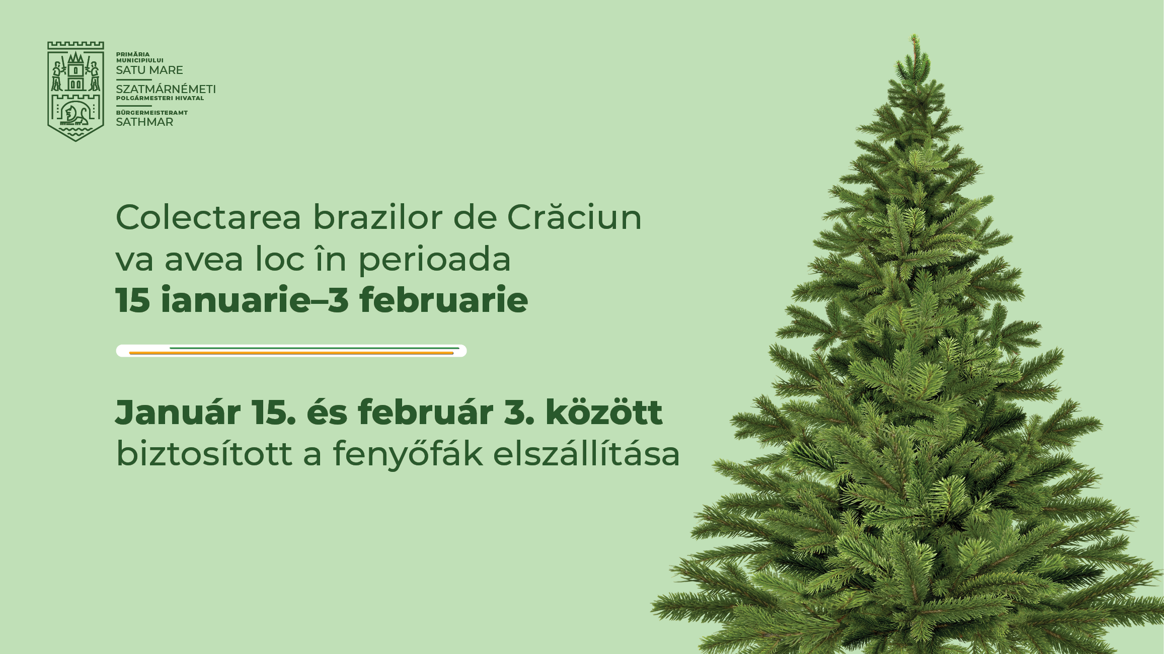 DIN 15 IANUARIE ÎNCEPE COLECTAREA BRAZILOR DE CRĂCIUN!